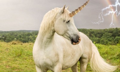 Newly Discovered Fossil Shows Unicorns Were Real