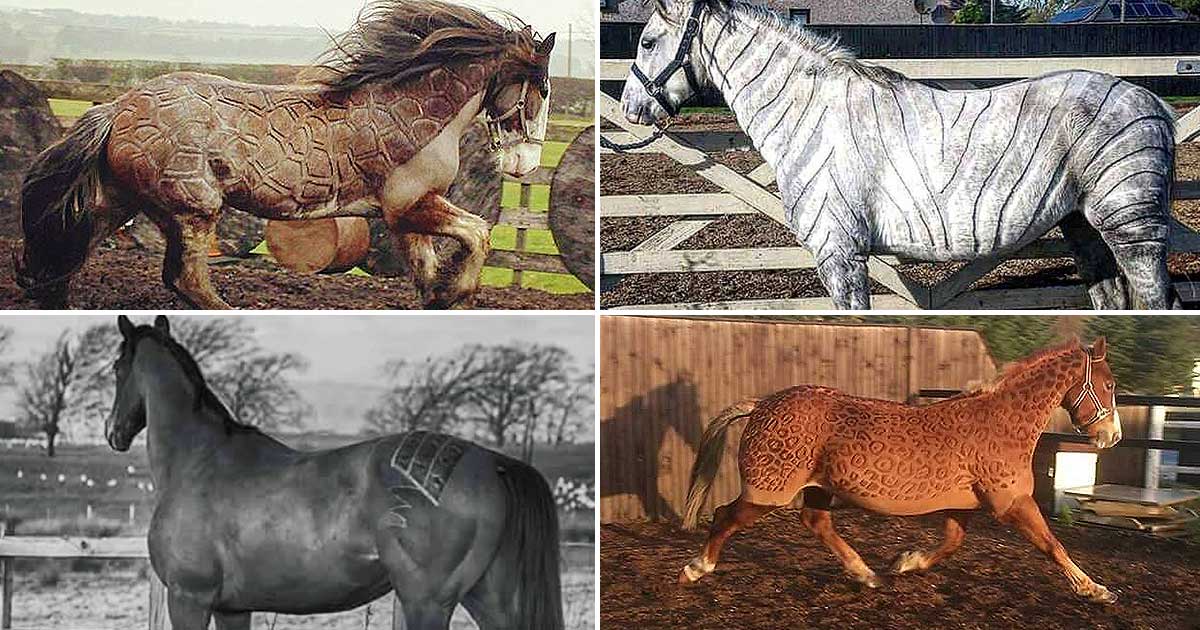 Beautiful Horse Haircuts Created by Skilled Groomer Jillian Scott