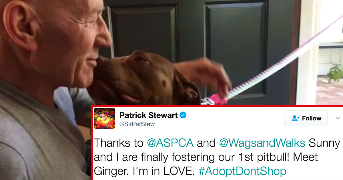Patrick Stewart Meeting His New Foster Dog Will Surely Brighten Your Day