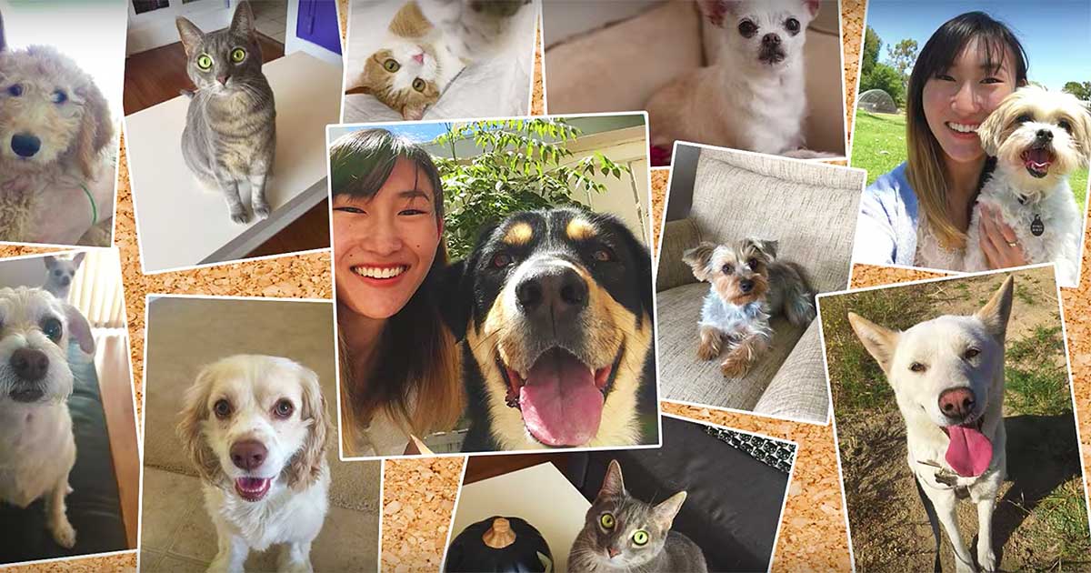 Perfect Pet Selfie: Flexy Paw Is the Easy Way to Snap Pet Photos